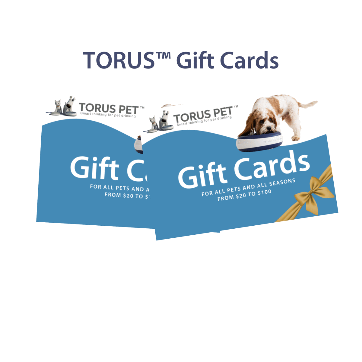 TORUS PET™ Gift Cards | Torus Pet